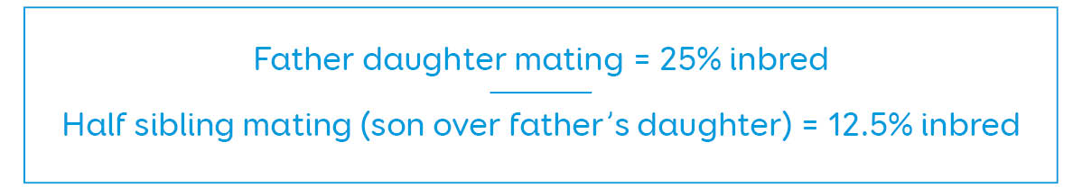 Is Inbreeding Bad For Farmers | Dairy Cattle Breeding | LIC International