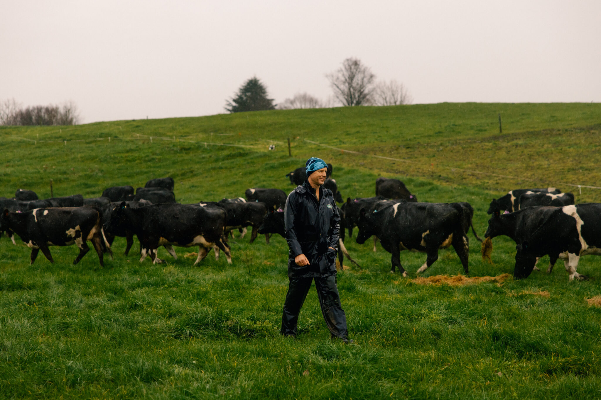 About LIC Livestock Improvement | Worldwide Dairy Farming Solutions