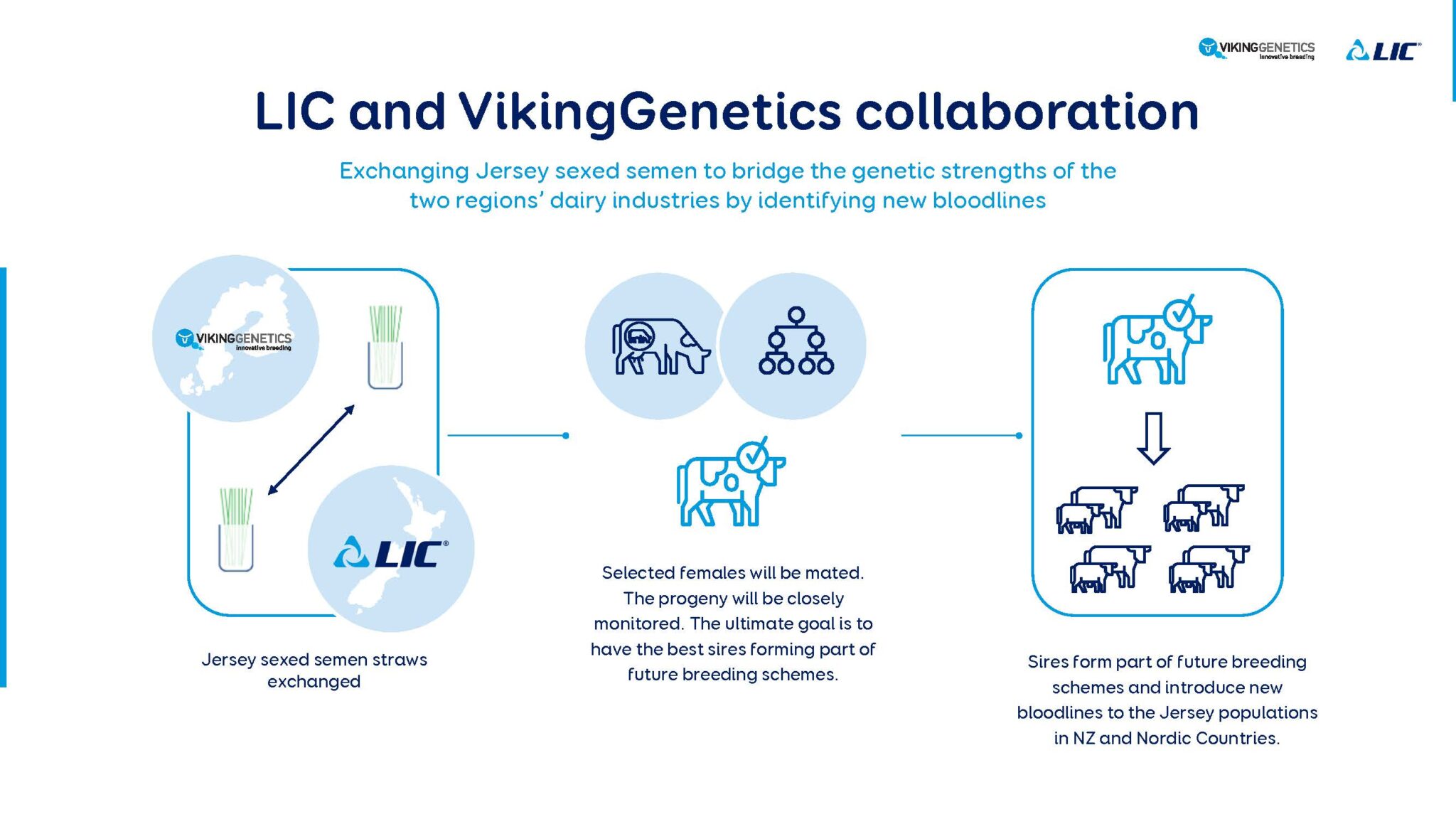 Collaboration between LIC and VikingGenetics • LIC International