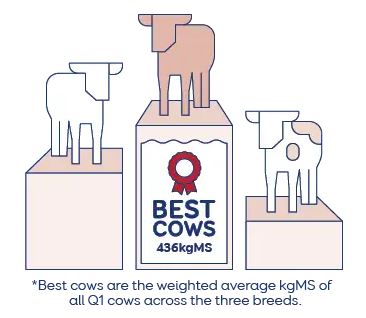 2. The cows you keep • LIC International