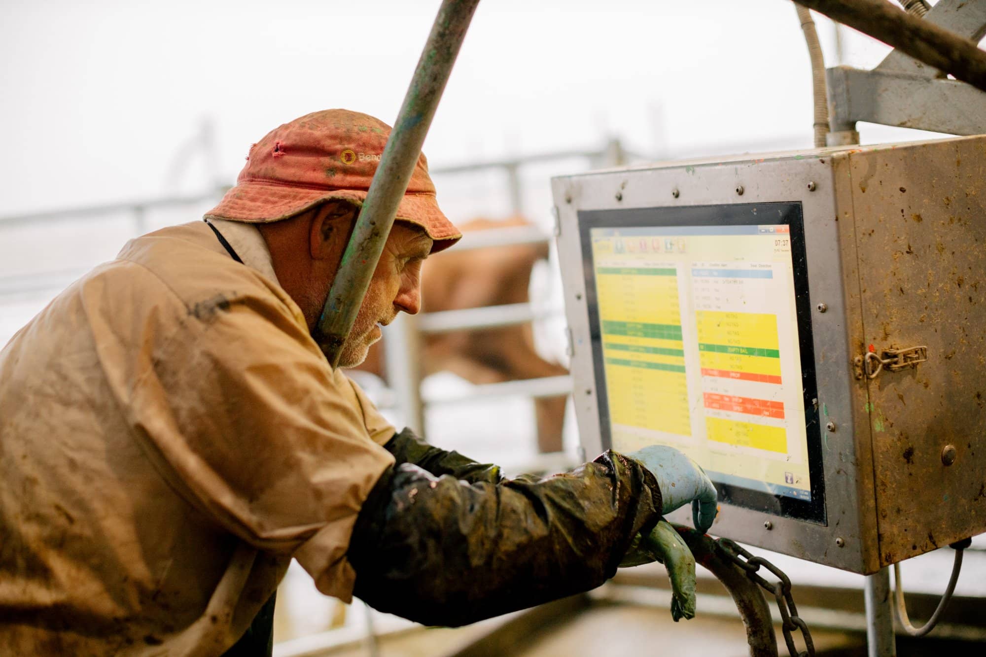 Dairy Cattle Herd Reproduction Tools Breeding Better Cows | LIC